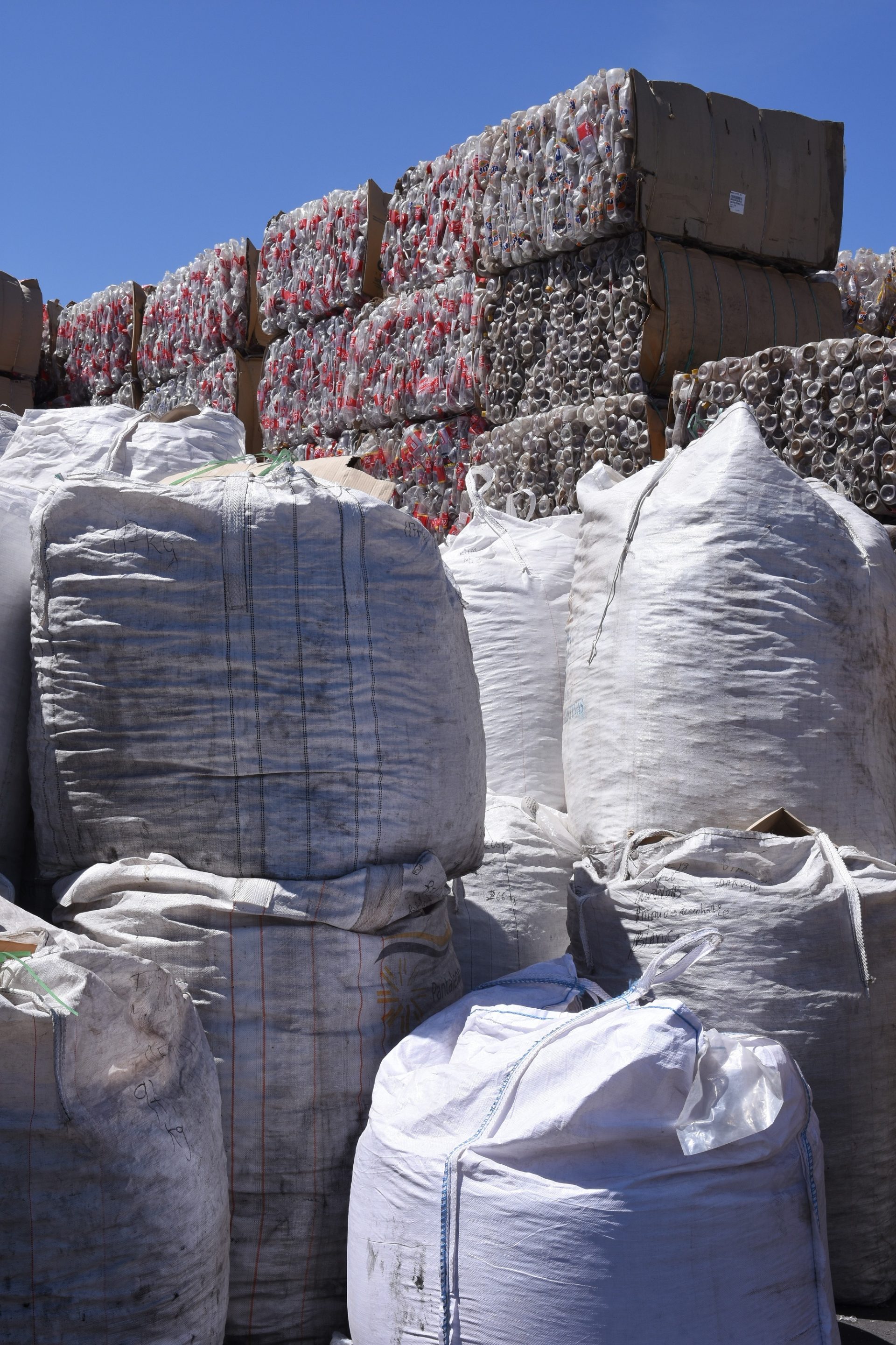 Plataforma online te invita a reciclar en casa - INFOGATE